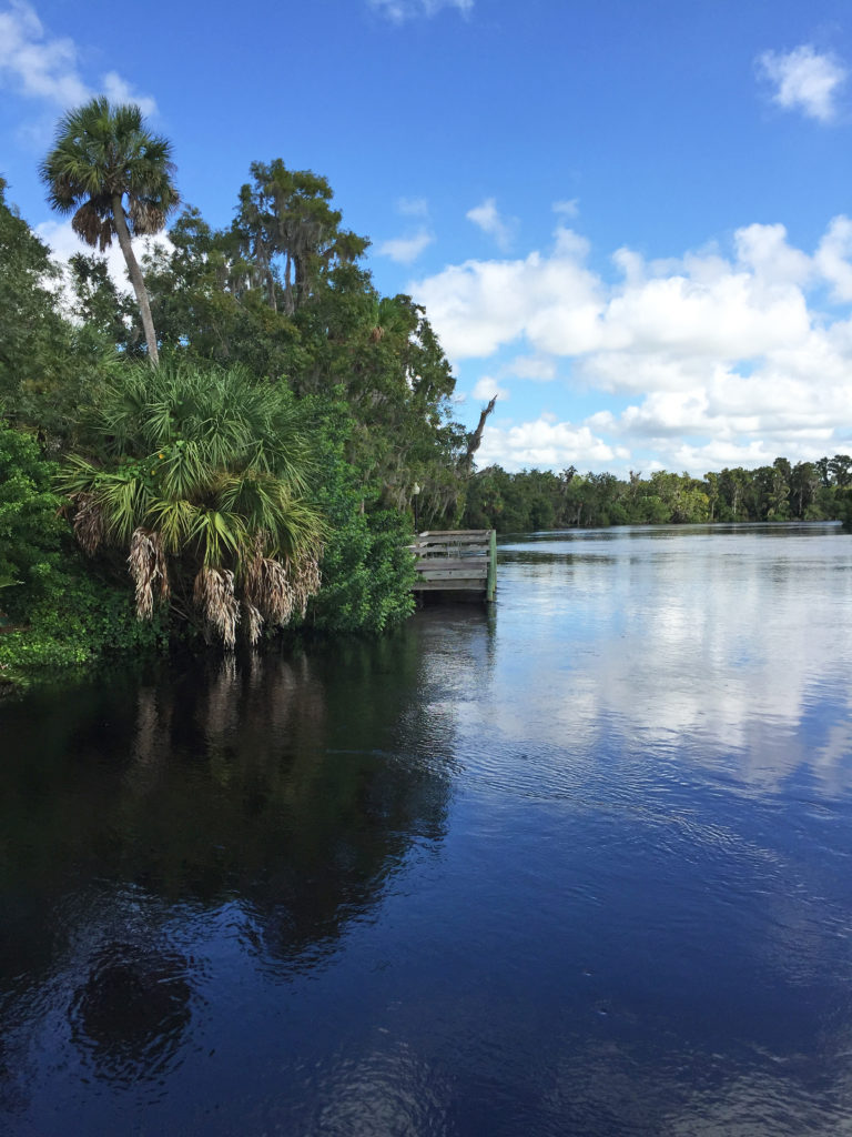 It’s All About the People at Riverside RV Resort in Arcadia, FL ...